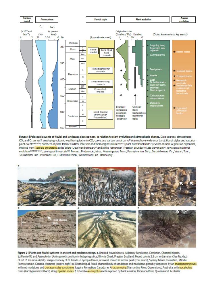 Fluvial style and plant evolution throughout the | Chegg.com