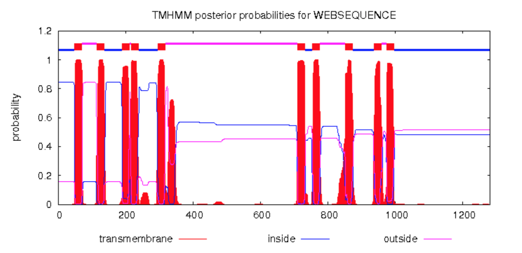 Solved TMHMM result HELP with output formats #WEBSEQUENCE | Chegg.com