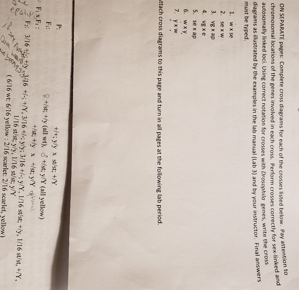 Q: Fly Crosses Lab Homework for Genetics. I need help | Chegg.com