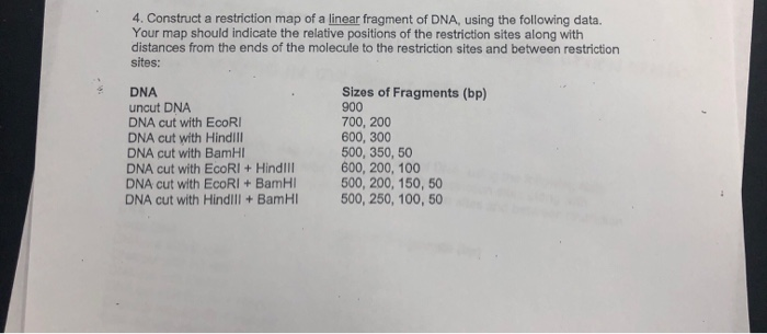 Solved 4 Construct A Restriction Map Of A Linear Fragment 