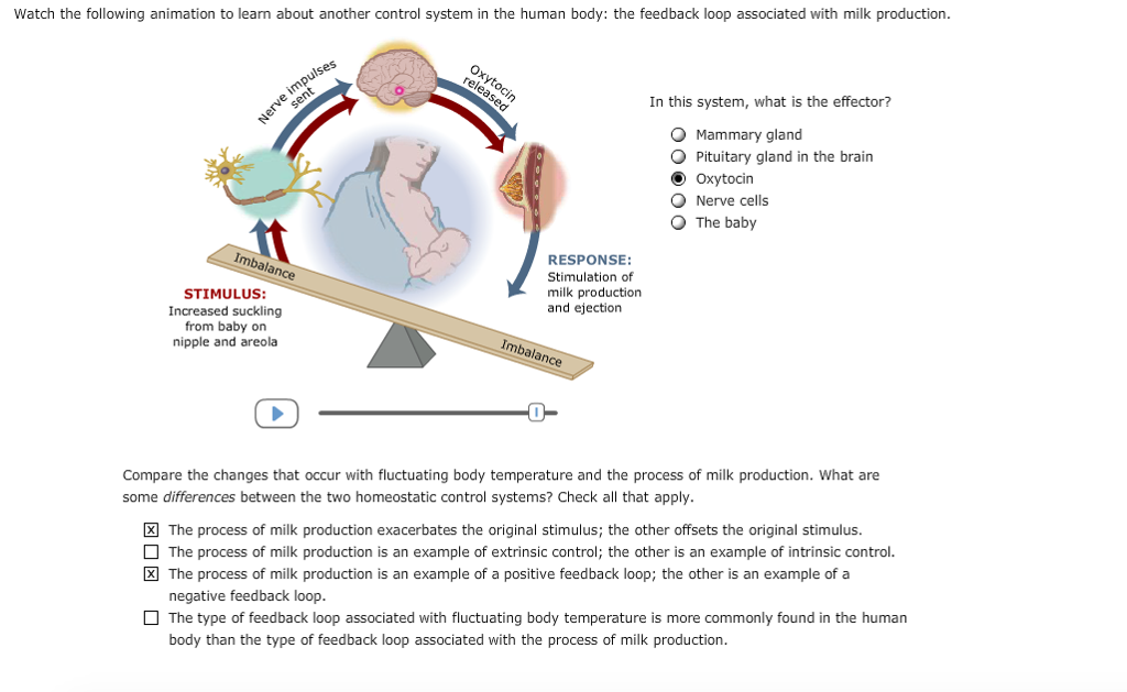 Solved: Now, Consider How These Components Of A Homeostati... | Chegg.com