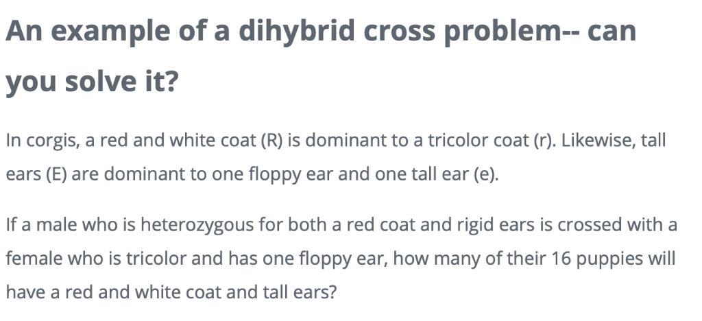 Solved An example of a dihybrid cross problem-- can you | Chegg.com