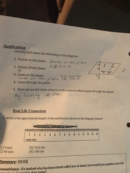 Solved Application Identify and name the following on the | Chegg.com