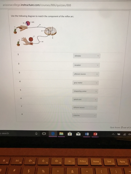 Anatomy And Physiology Archive | February 06, 2018 | Chegg.com