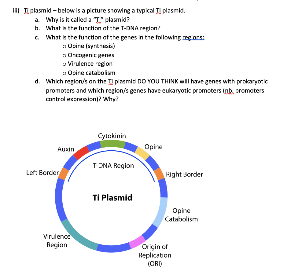 Solved C. iii) Ti plasmid - below is a picture showing a | Chegg.com