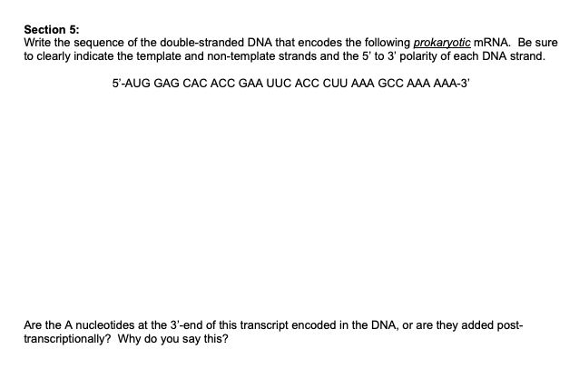 Solved Section 5: Write the sequence of the double-stranded | Chegg.com
