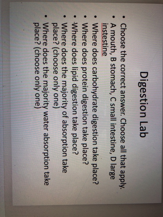 Solved Digestion Lab Choose the correct answer Choose all | Chegg.com