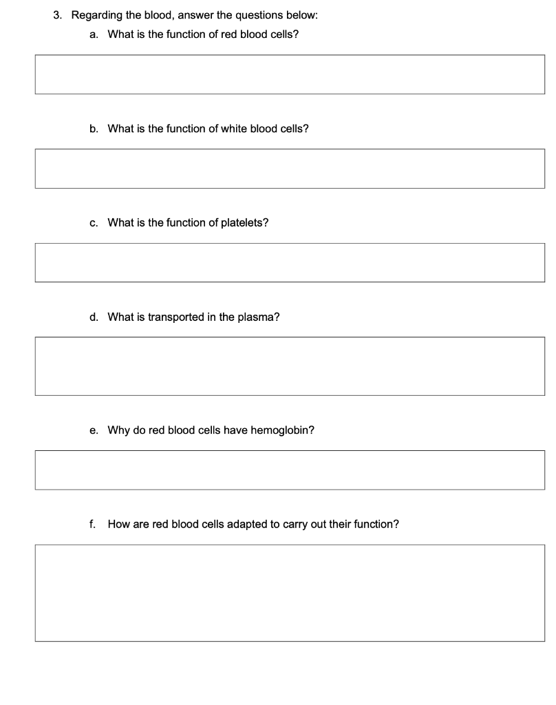 Solved 3. Regarding the blood, answer the questions below: | Chegg.com