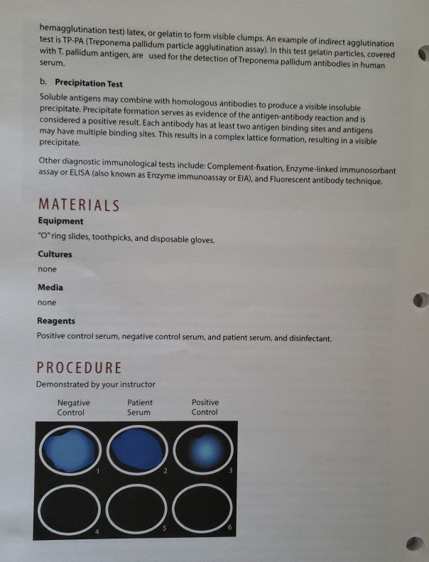 Solved EXPERIMENT 27 LAB REPORT OBSERVATIONS AND RESULTS | Chegg.com