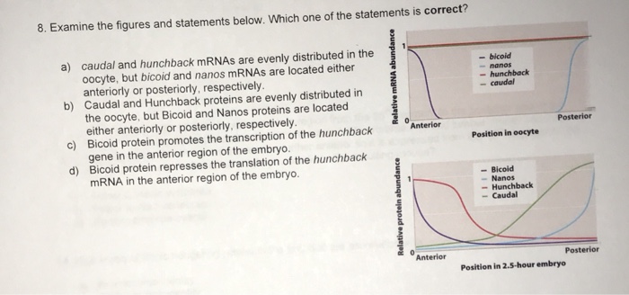 Solved 8. Examine the figures and statements below. Which | Chegg.com