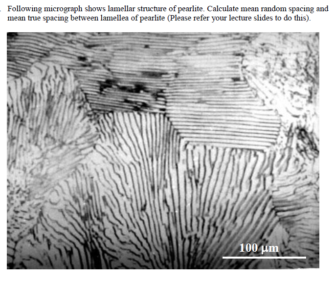 Solved Following micrograph shows lamellar structure of | Chegg.com