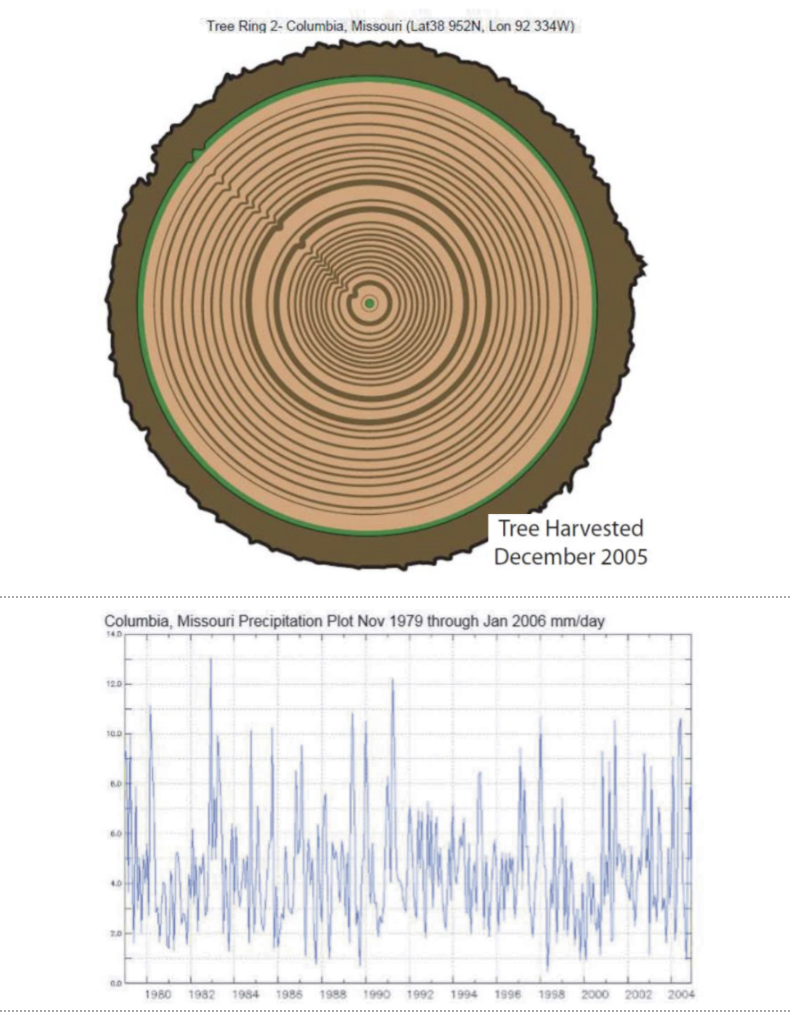Solved Task 1: Tree Ring Analysis (20 points) In your | Chegg.com
