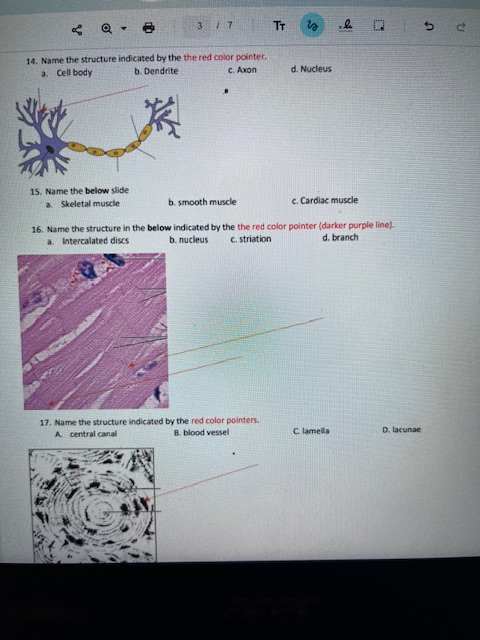 Solved 10. Name the cell indicated by the pointer (red color | Chegg.com