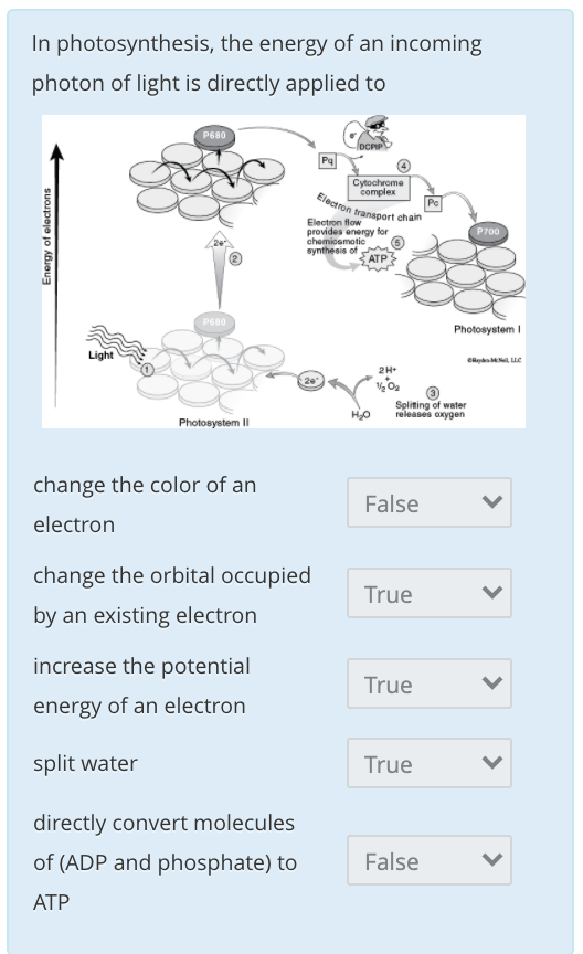 Solved In photosynthesis, the energy of an incoming photon | Chegg.com