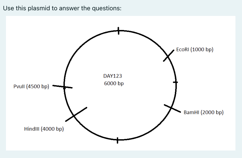 Solved You're using figure 1 to answer question 3 and 4. | Chegg.com