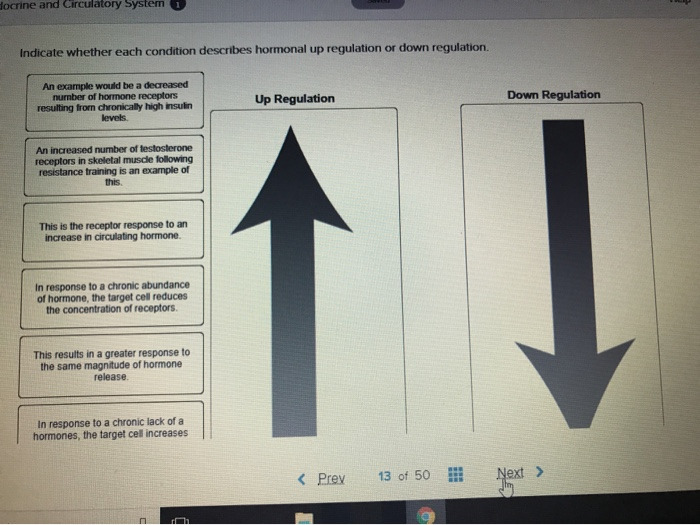 Solved ocrine and Circulatory System Indicate whether each | Chegg.com Solved ocrine and Circulatory System Indicate whether each | Chegg.com