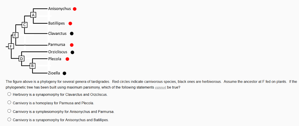Solved The figure below shows a phylogeny for several genera | Chegg.com