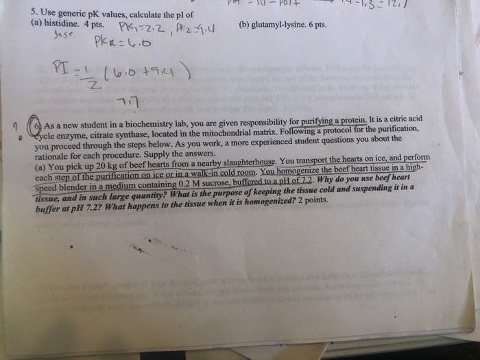 Solved 5. Use generic pK values, calculate the pl of (a) | Chegg.com