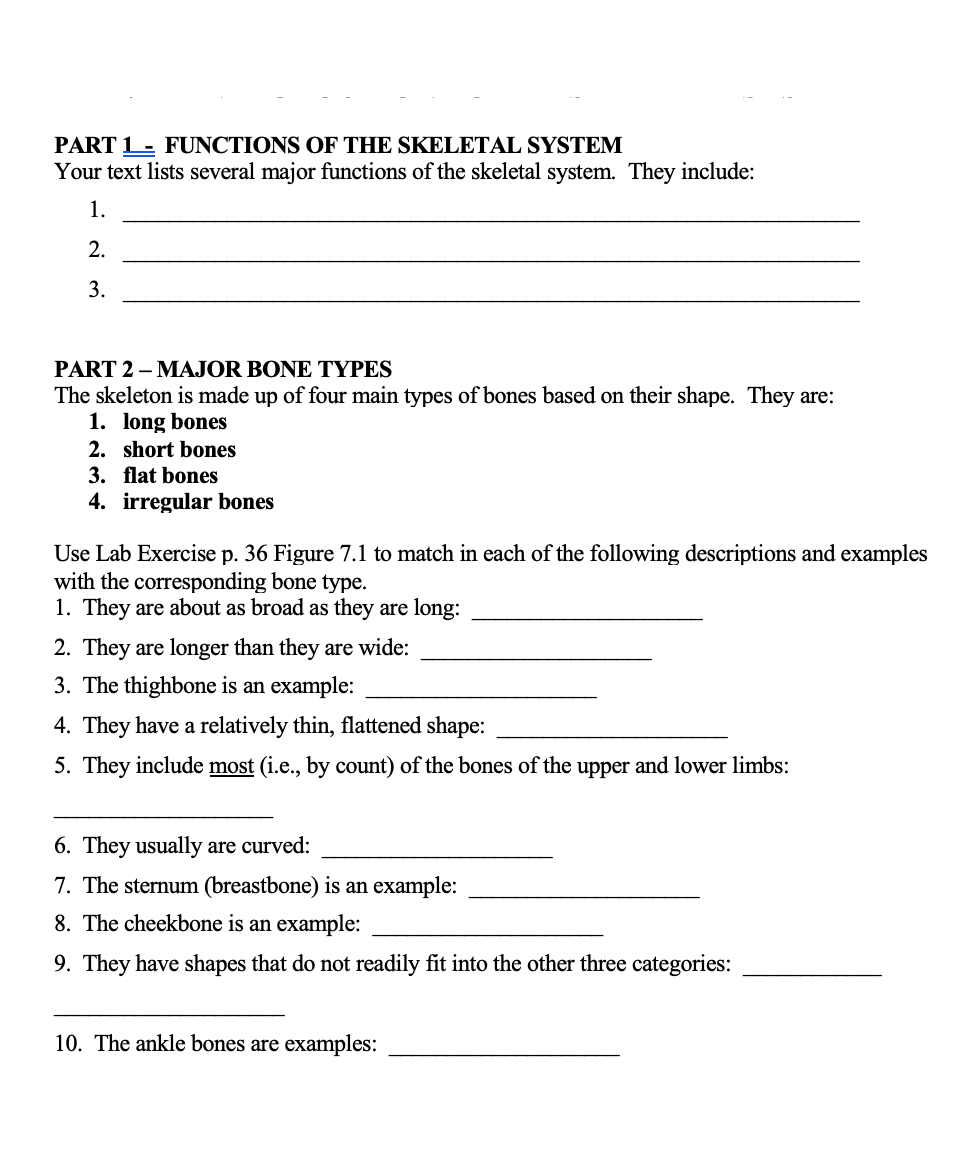 Solved PART 1 FUNCTIONS OF THE SKELETAL SYSTEM Your Text Chegg