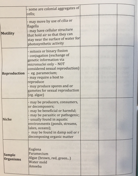 Solved Summarize the differences between the four Eukaryotic | Chegg.com