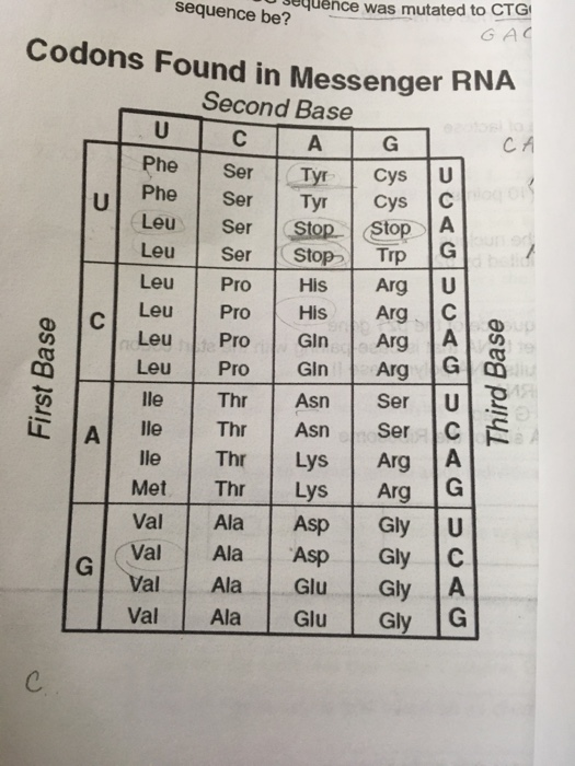Solved TTA Assignment 5 Finals Review oints) For splicing, | Chegg.com