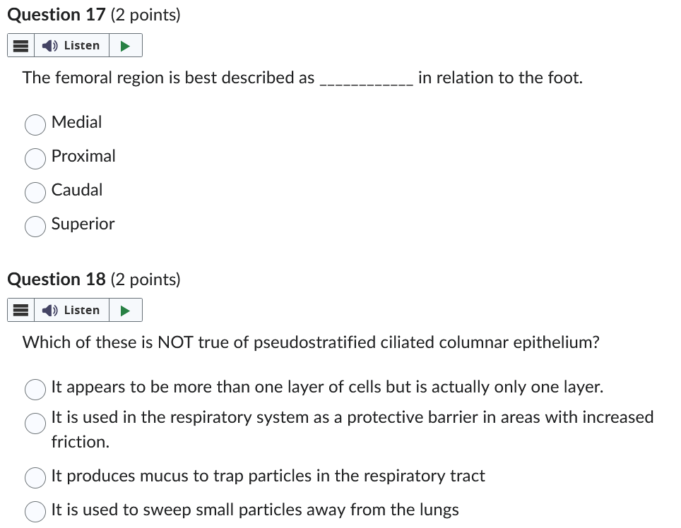 Solved The correct order of structures from most superficial | Chegg.com