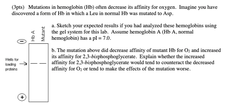 Solved (3pts) When analyzed via agarose gel electrophorisis | Chegg.com