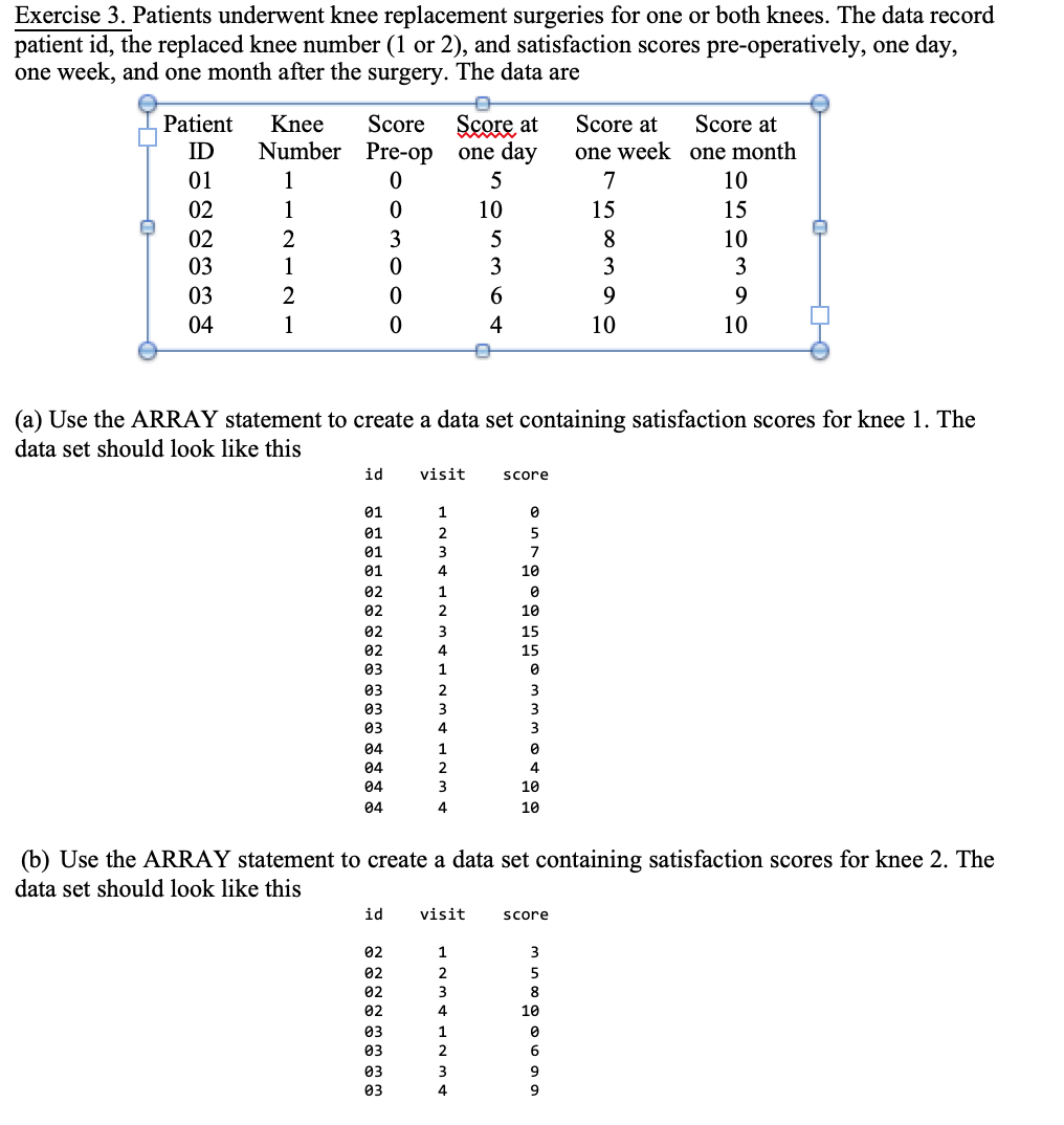 Sas Array Coding Given This Small Data Set How Can