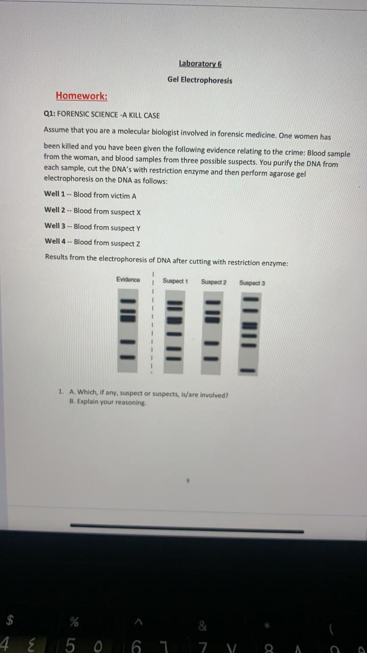 Solved Laboratory 6 Gel Electrophoresis Homework: Q1: | Chegg.com