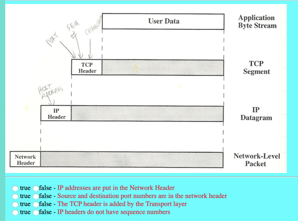 Solved true false - IP addresses are put in the | Chegg.com