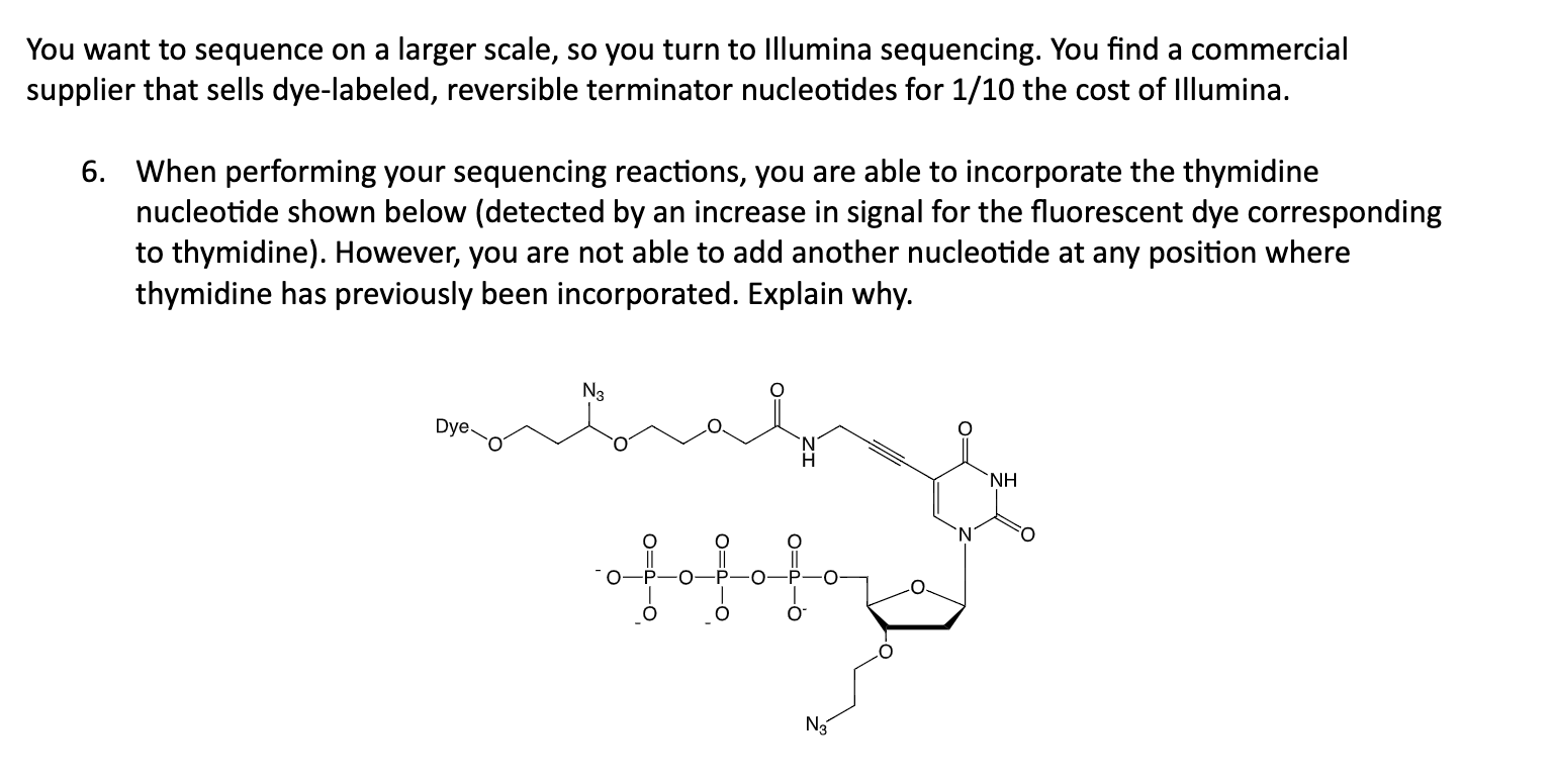 You want to sequence on a larger scale, so you turn | Chegg.com