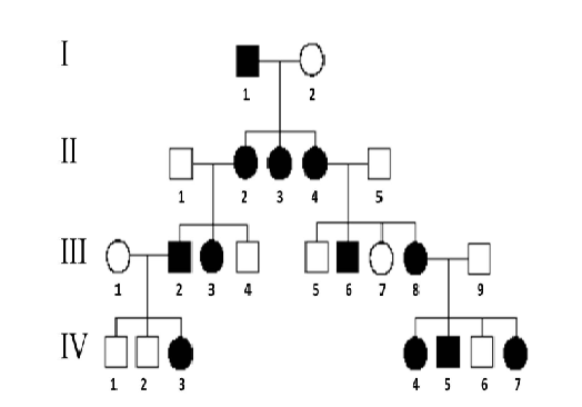 Solved I 12 II 1 2 3 4 5 III O 5 6 7 8 9 IV no 1 2 3 4 5 6 7 | Chegg.com