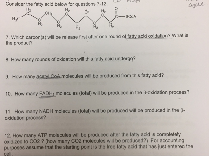 Solved Consider the fatty acid below for questions 7-12 H2 | Chegg.com