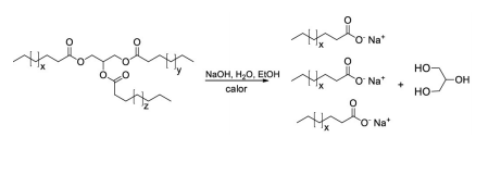 Solved trional HO NaOH,H,O, EIOH calor Na -ОН Eur HO O Na | Chegg.com