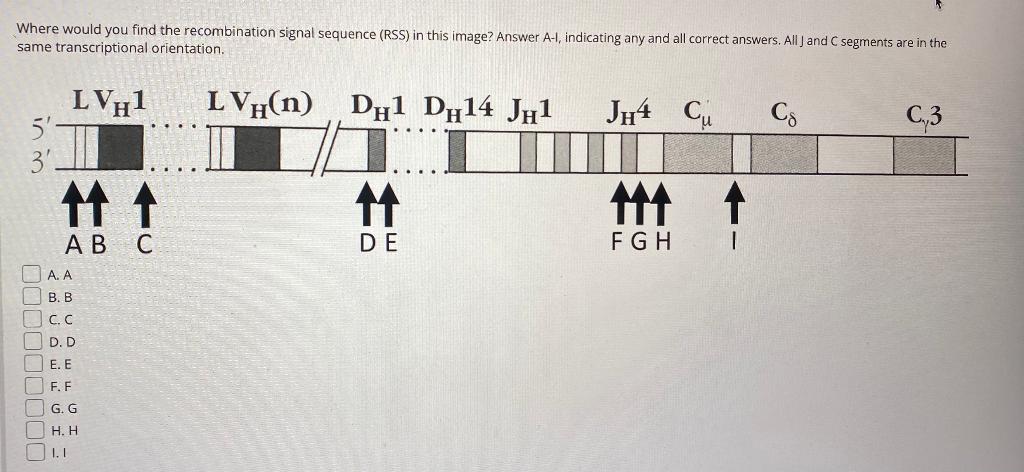 Where Would You Find The Recombination Signal
