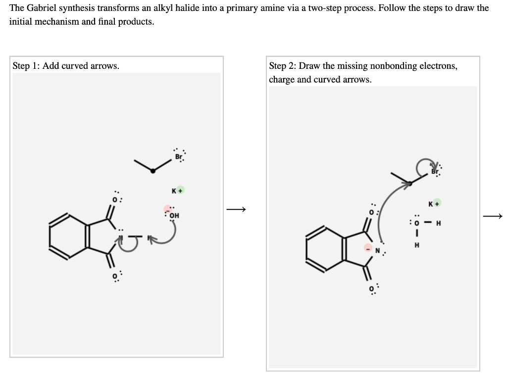 Solved The Gabriel synthesis transforms an alkyl halide into | Chegg.com