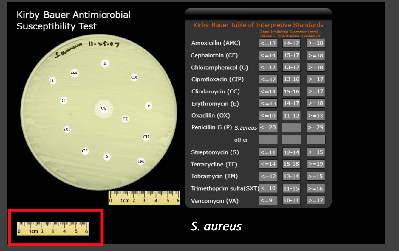 Solved Table 3.4 Results of Kirby-Bauer antibiotic | Chegg.com