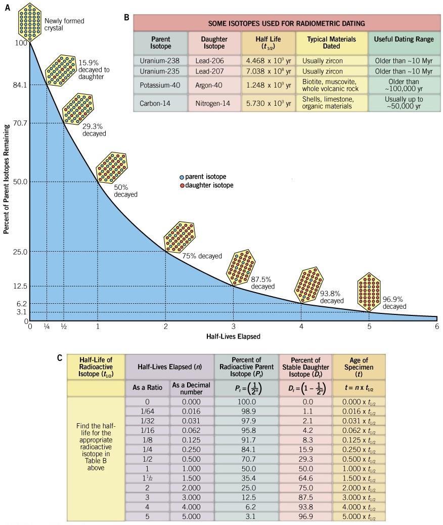 Solved Based on the figure below to determine the relative | Chegg.com