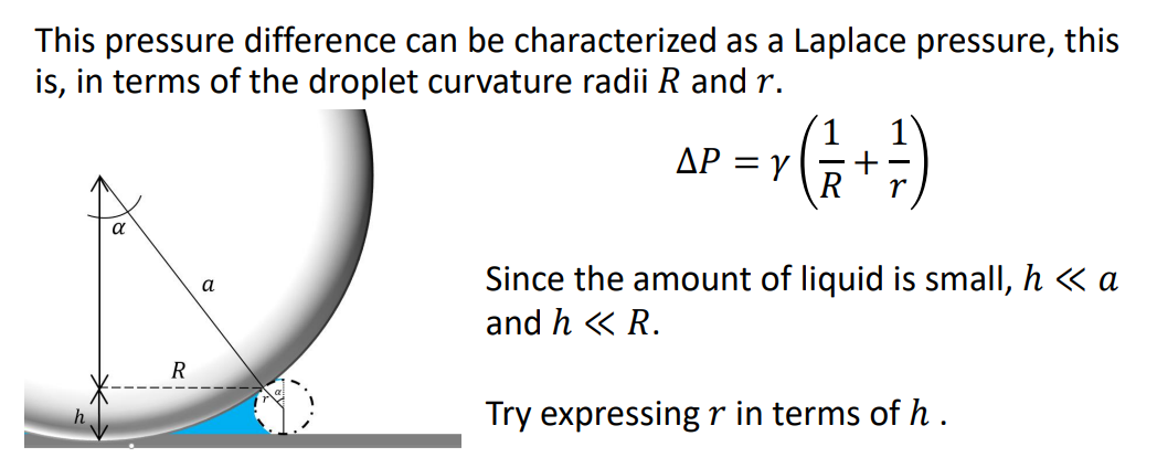 Solved 1. Adhesive force A rigid sphere (radius a) rests on | Chegg.com