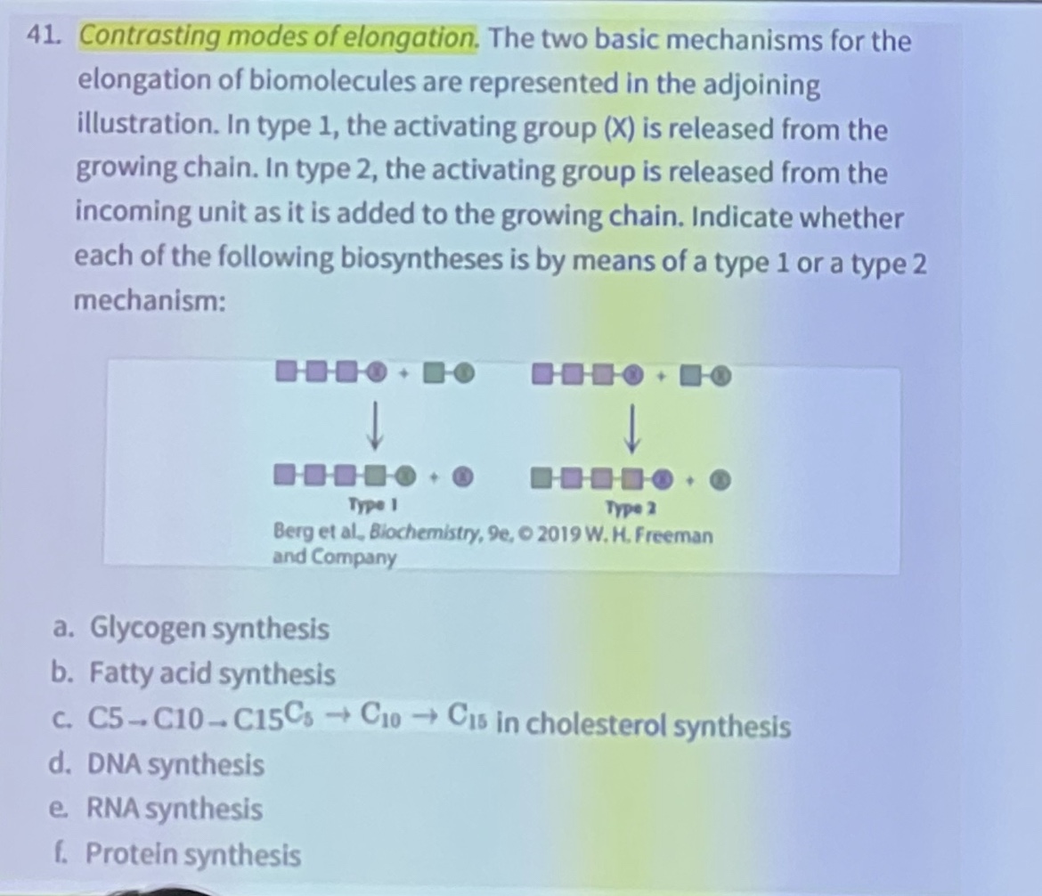 Solved The two basic mechanisms for the elongation of | Chegg.com