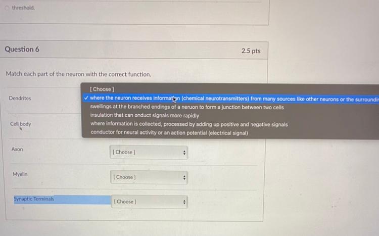 Solved Question 6 Match each part of the neuron with the | Chegg.com