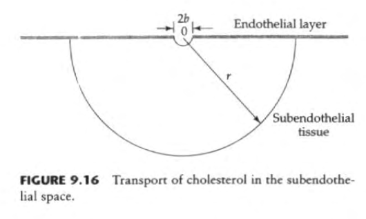 Solved h Ar Cleft FIGURE 9.15 Solute transport across the | Chegg.com
