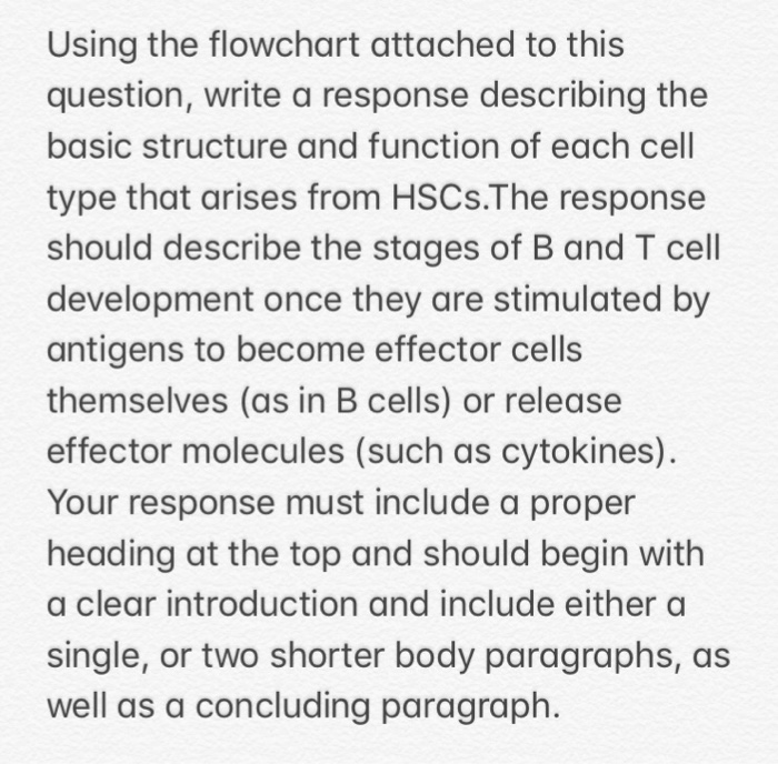 Solved Using the flowchart attached to this question, write | Chegg.com