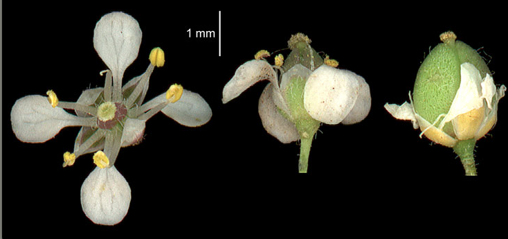 Solved 1. | Chegg.com