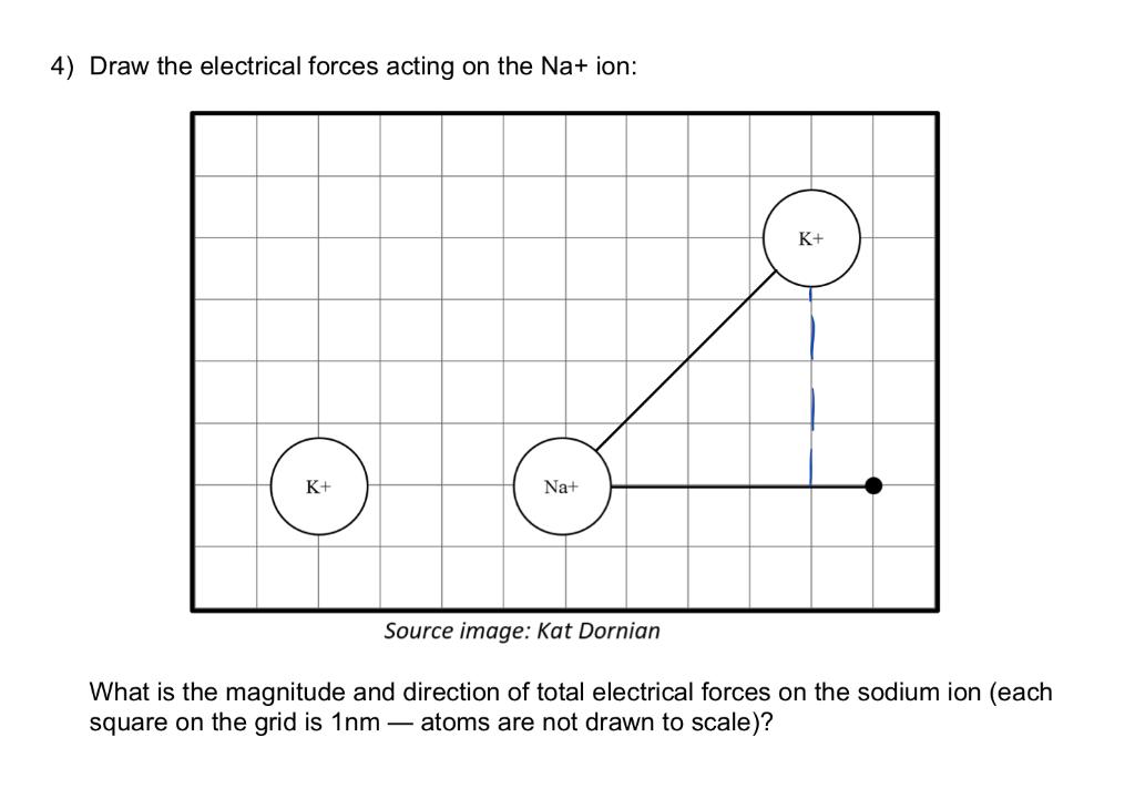 Solved 4) Draw the electrical forces acting on the Na+ ion: | Chegg.com