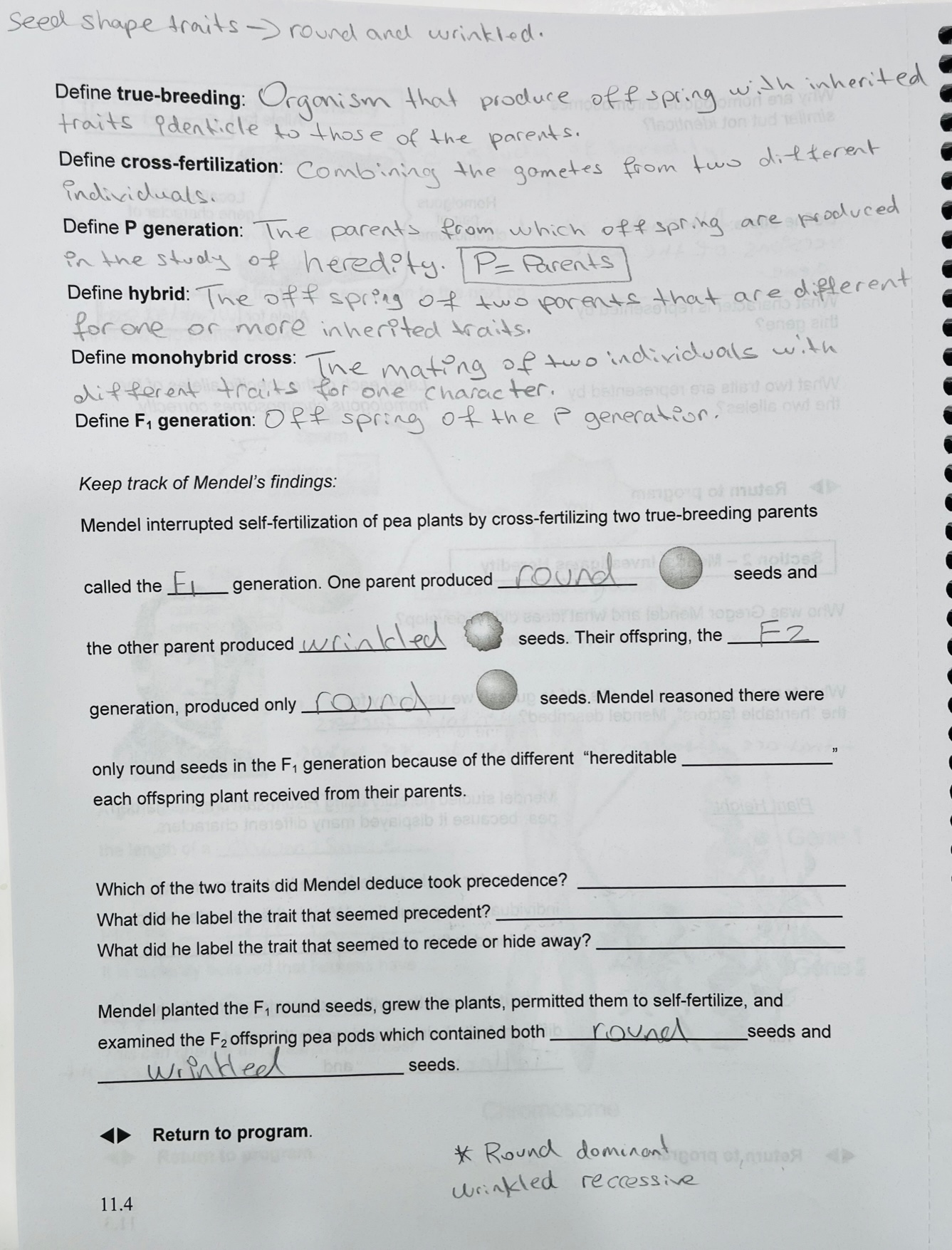 Solved This fruit fly is a heterozygote for body color and | Chegg.com
