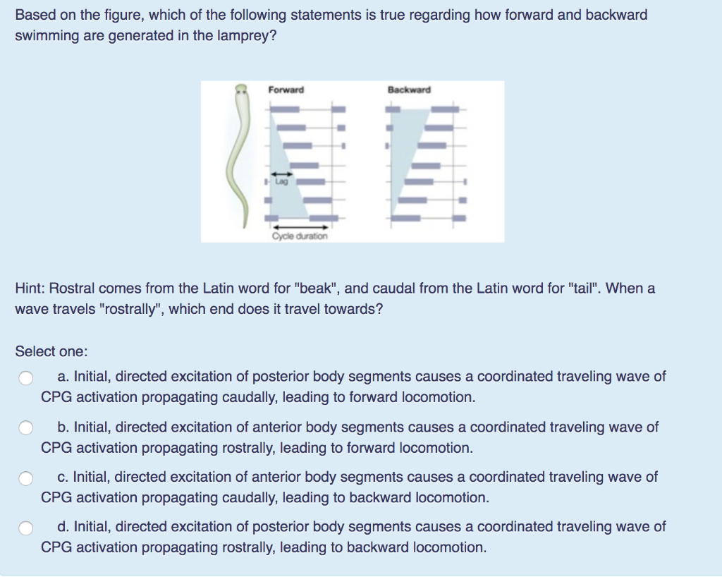 Solved Based on the figure, which of the following | Chegg.com