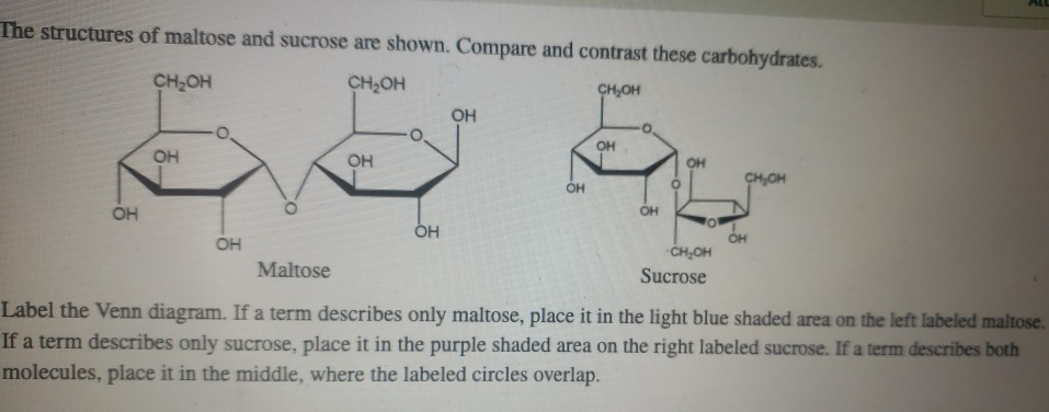 Solved The structures of maltose and sucrose are shown. | Chegg.com Solved The structures of maltose and sucrose are shown. | Chegg.com