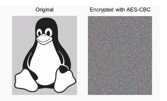 Solved Encrypt an image using AES CBC mode with key and IV | Chegg.com