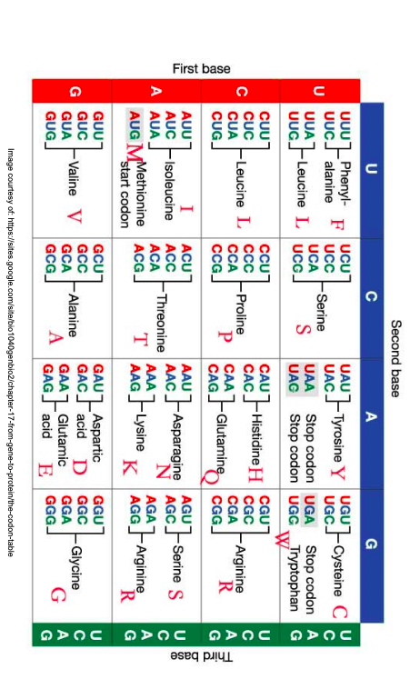 Solved 1. The 20 commonly occurring amino acids are | Chegg.com